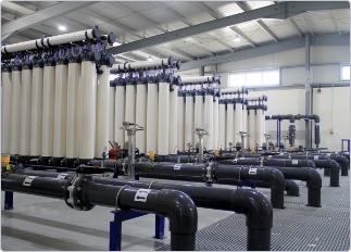 Concorde Corodex Group | Home